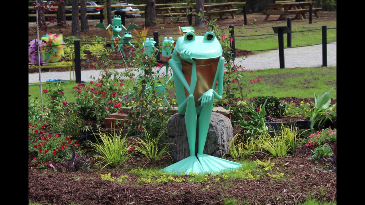 Ribbit the Exhibit - YouTube