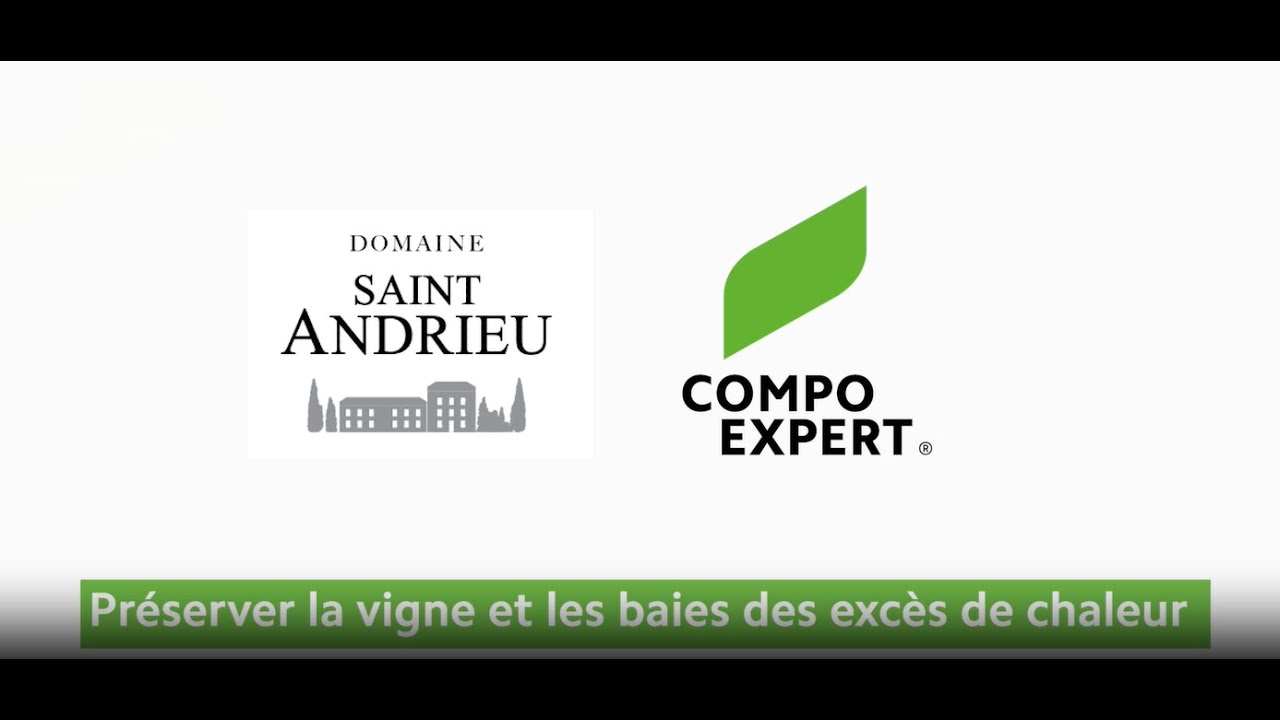 Application d'Invelop White Protect au Domaine Saint Andrieu - YouTube