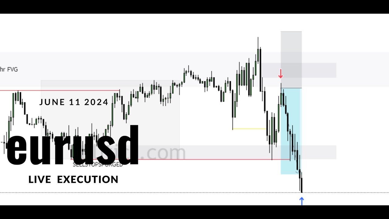 June 11 2024 eurusd live execution. - YouTube