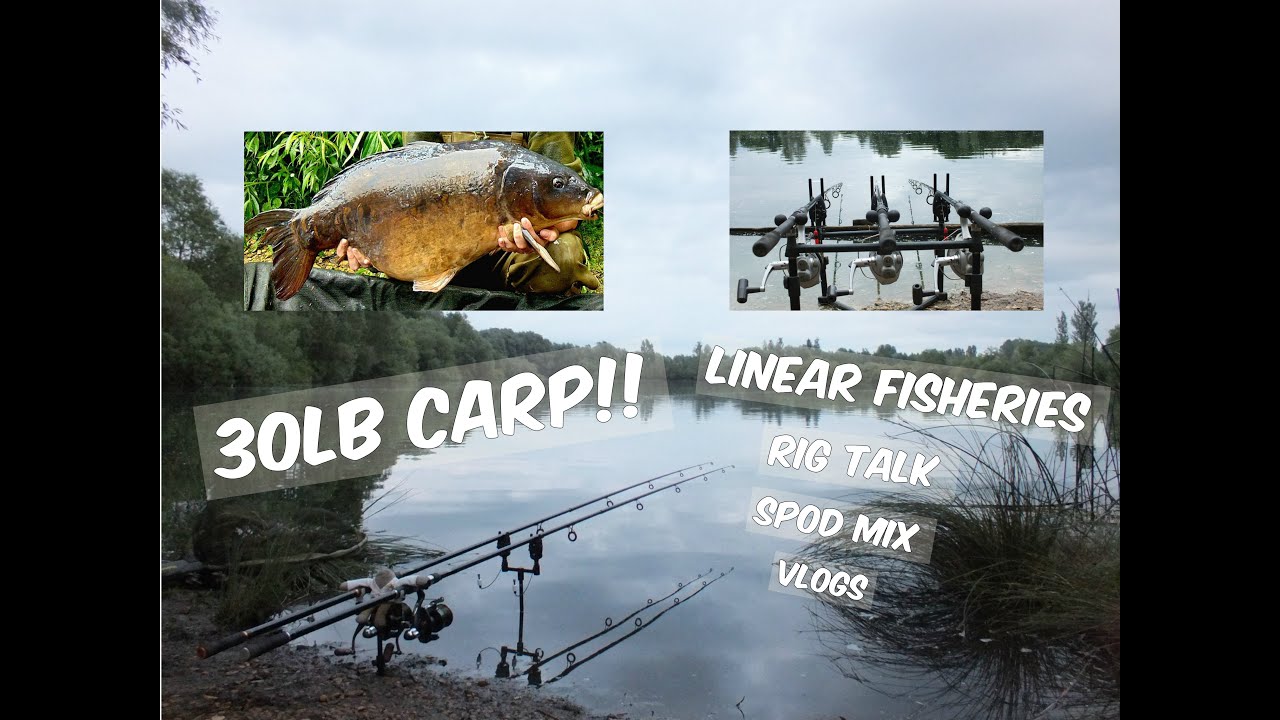 Carp Fishing- Oxford Linear Vlogs- Oxlease & Hardwick and Smiths- Carp ...