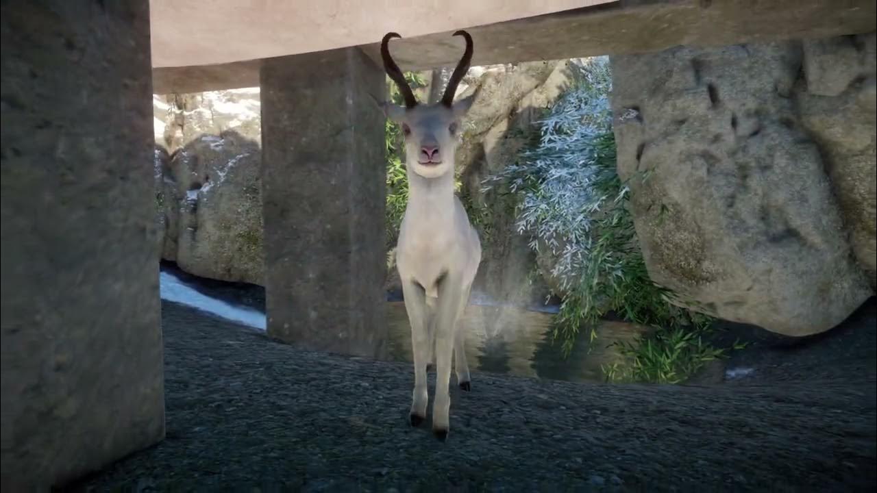 Albino Pronghorn Antelope | Planet Zoo Animals - YouTube