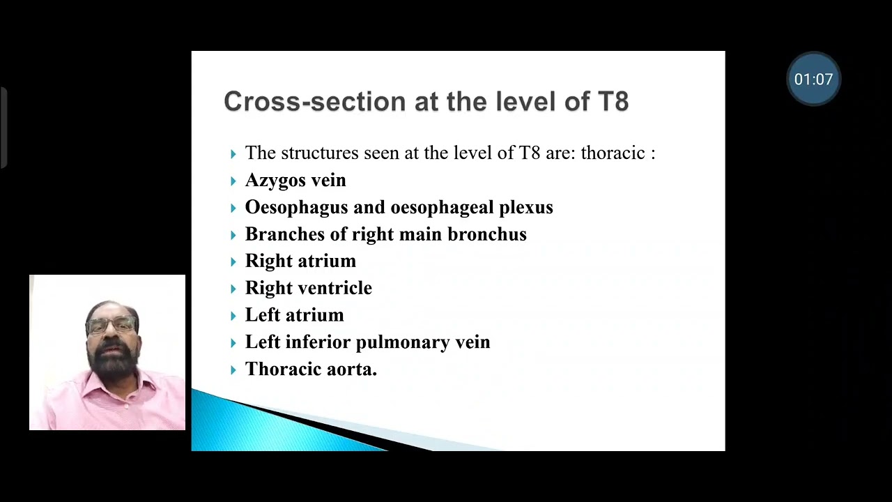 31. C/S at the level of T8 ,T10 & L1 - YouTube