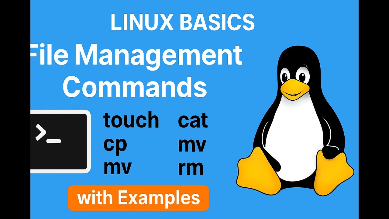 Linux Basics | File Management Commands Explained (touch, cat, cp, mv, rm) with Examples #linux ...