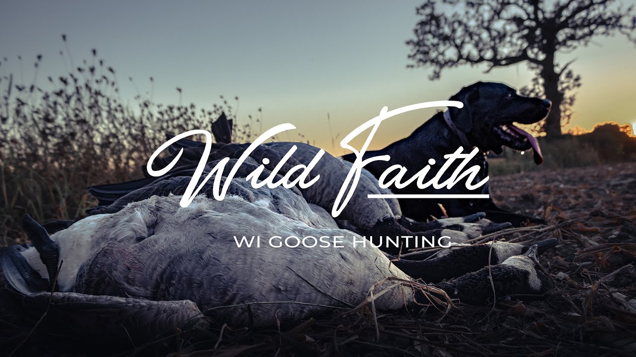 Goose Fest '24 (Wisconsin Early Season Goose Hunting) - YouTube