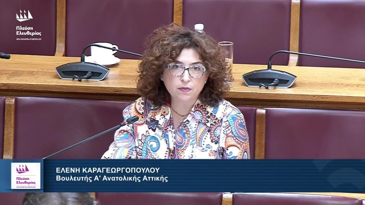 Έλενα Καραγεωργοπούλου: Τοποθέτηση - Επιτροπή Δημόσιας Διοίκησης, Δημ ...
