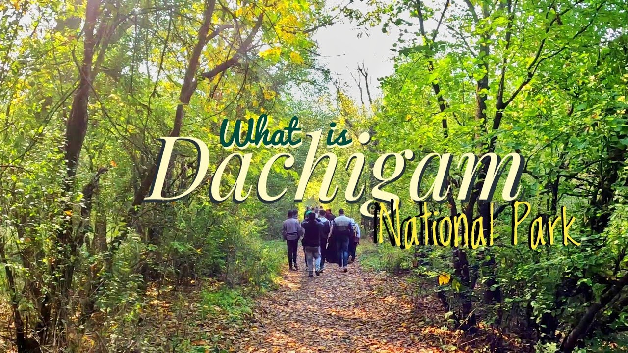 What is Dachigam National Park | #kashmir #wildlife #nature #forest # ...
