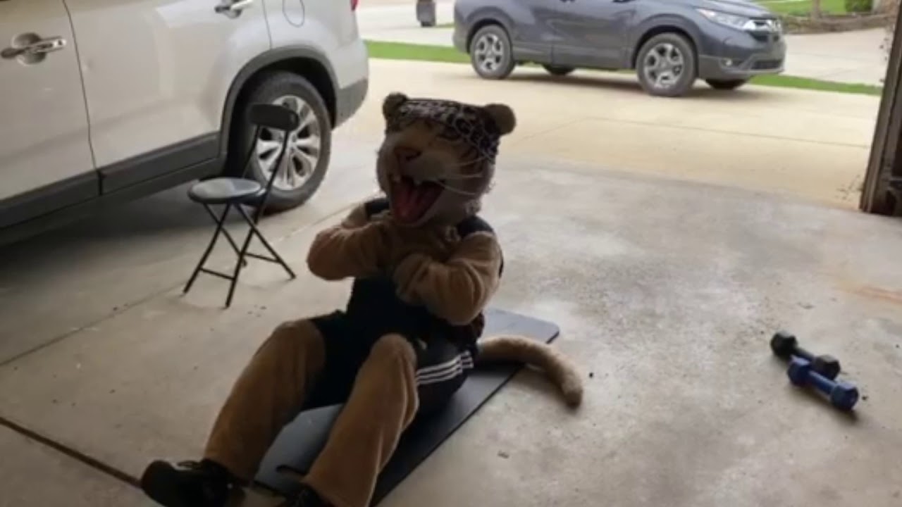 Tiger Work Out - YouTube