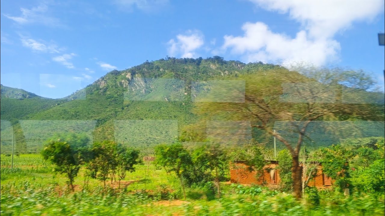 Road Trip to Tanzania 🇹🇿 |What you need to know |Buses to use |Arusha ...