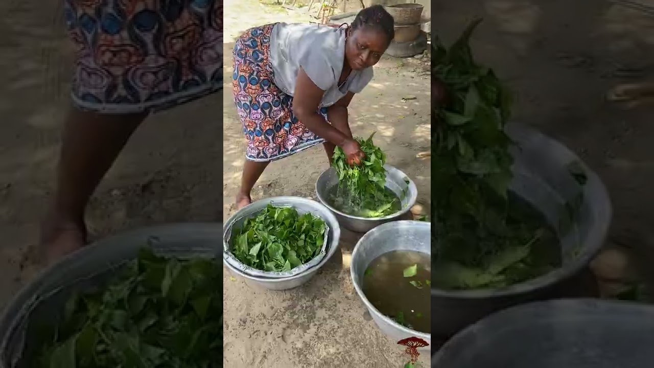 Welcome to Cotonou, Benin. Bienvenue à Cotonou au Bénin - YouTube