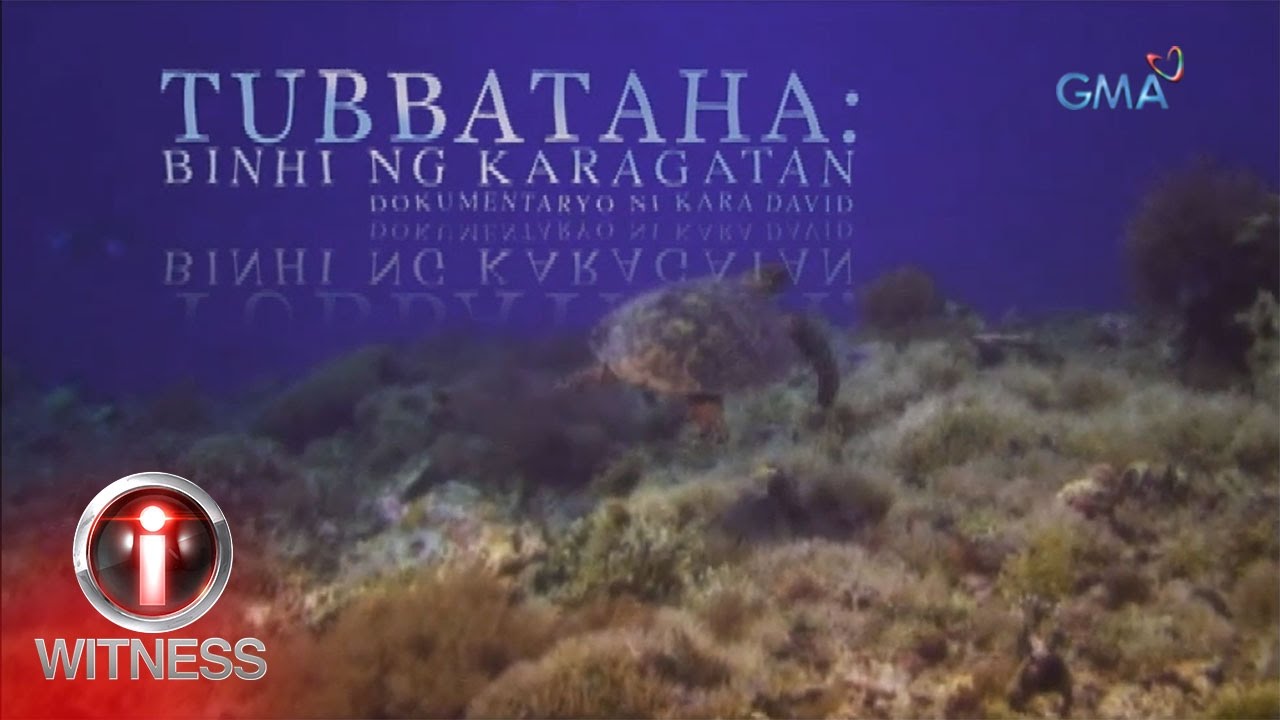 I-Witness: ‘Tubbataha: Binhi ng Karagatan,’ dokumentaryo ni Kara David ...