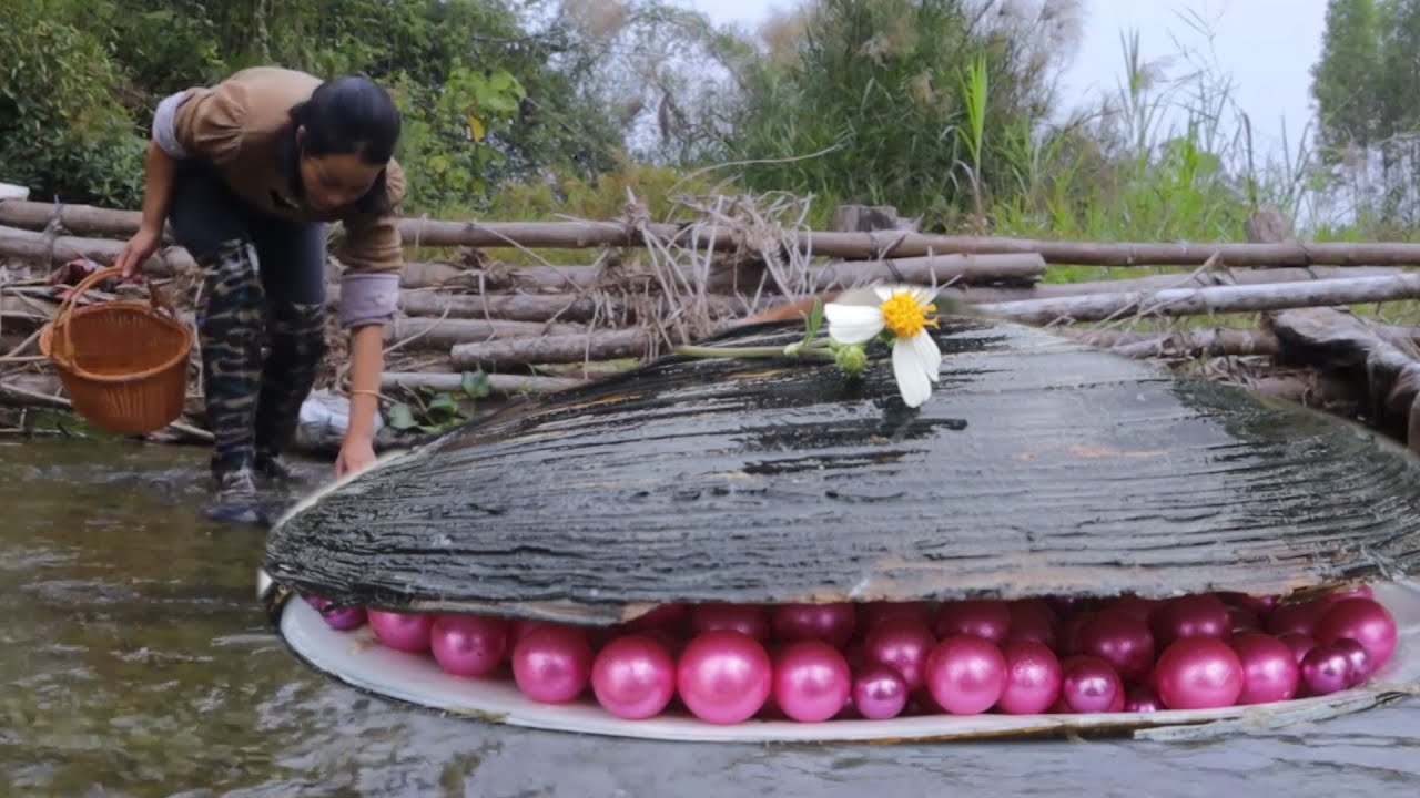 The pink Barbie pearl has a huge clam shell containing over 20 rare ...