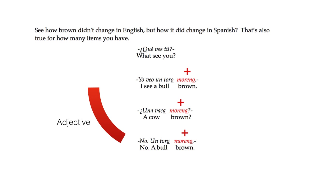 Spanish Ace -- Adjectives, How to Get an A in Spanish and Keep It - YouTube