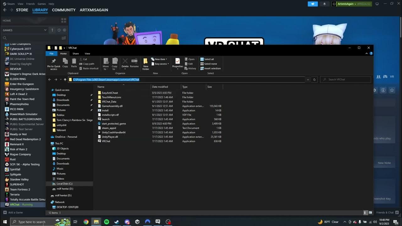 Running Multiple VRChat Instances with Different Accounts Simultaneously - YouTube