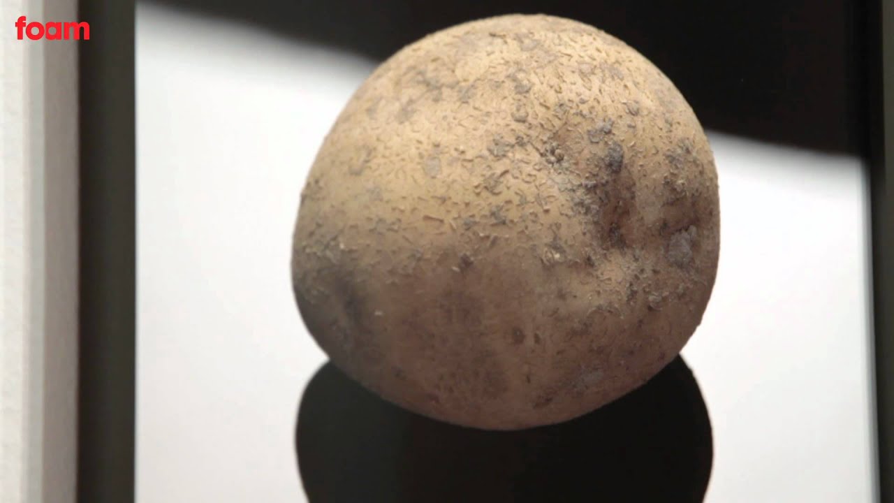 Still/Life - Contemporary Dutch Photography - YouTube