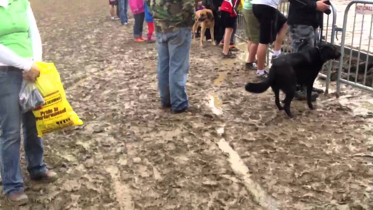 Casey & Sheila @ Seattle Mudrun 2012 - YouTube