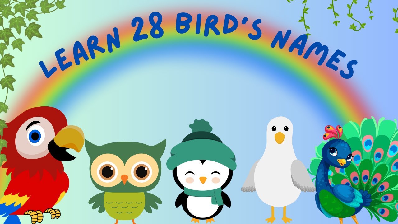 Learn Birds Names 🐦 🎶: Sing Along and Learn🎶 - YouTube