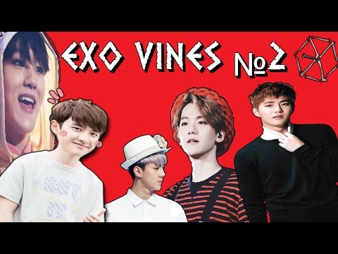 Exo vines №2 (compilation)
