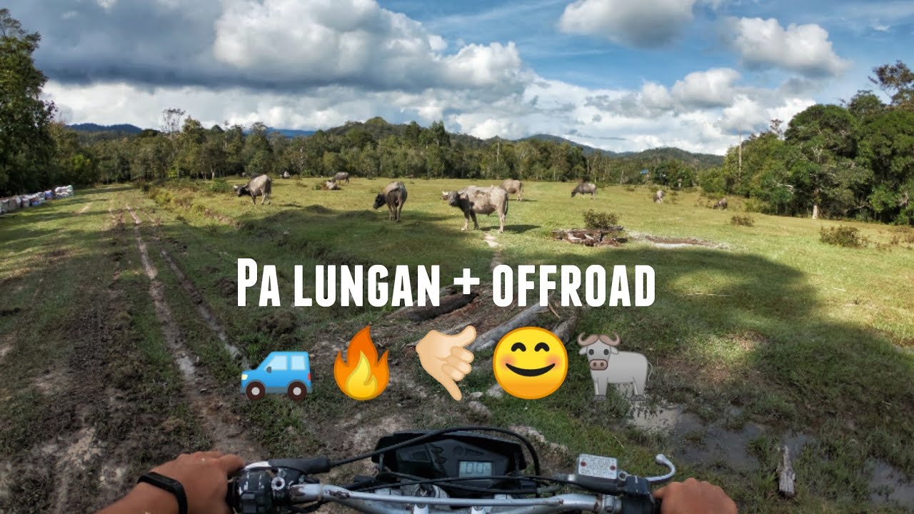 offroad to Pa Lungan... It was awesome 😂. - YouTube