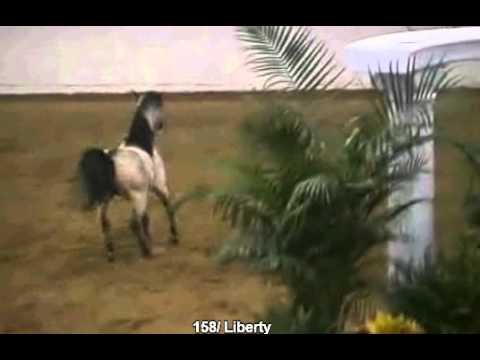 amha liberty class 4 - YouTube