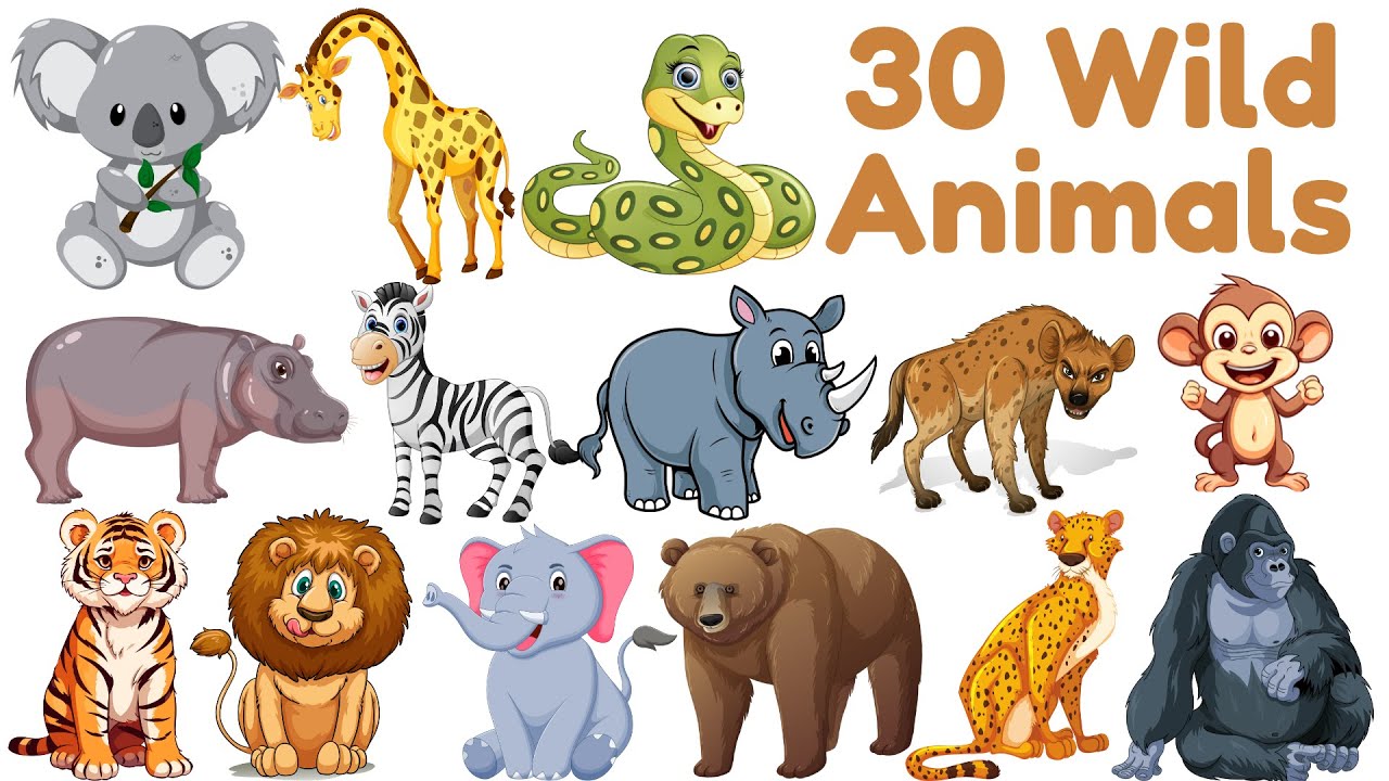 30 Wild animals name for kids | Animals vocabulary | जंगली जानवरो के ...