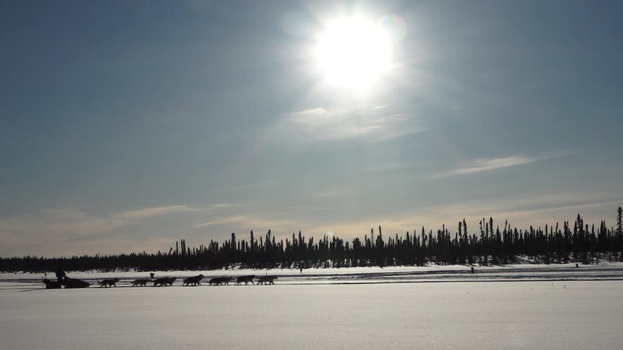 In Depth Alaska: planning for Iditarod through challenging weather ...