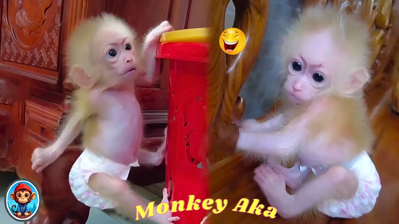 So cute AKA cried for help from Dad because he was falling in a toy box ...