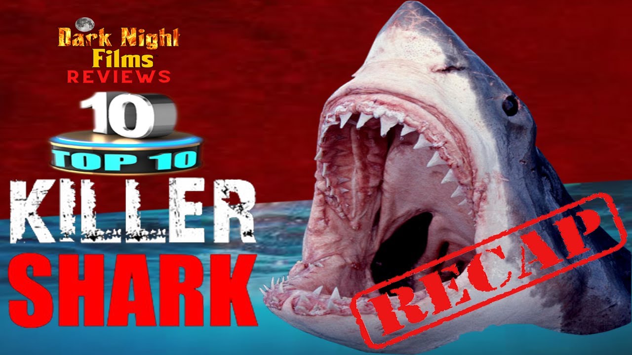 Killer Shark Top 10 Recap - YouTube