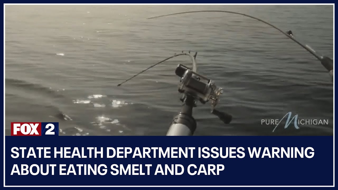 State health department issues warning about eating smelt and carp ...