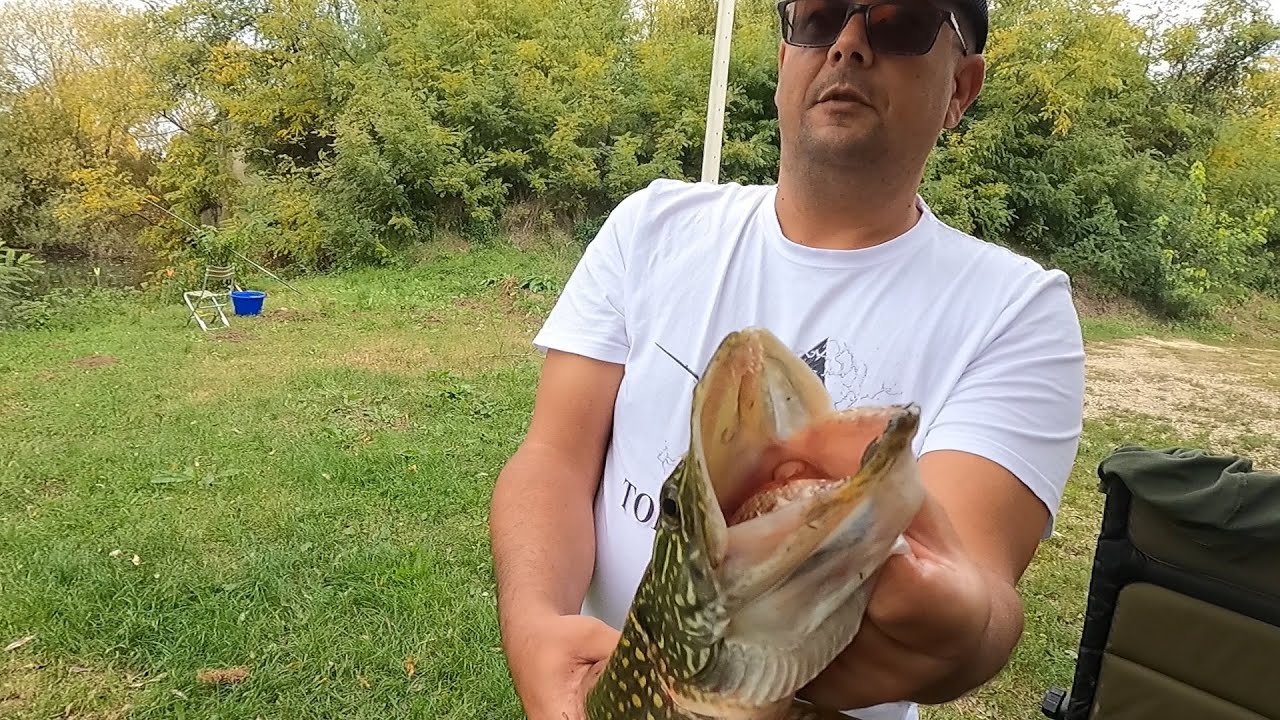 Kako biti bolji ribolovac - YouTube