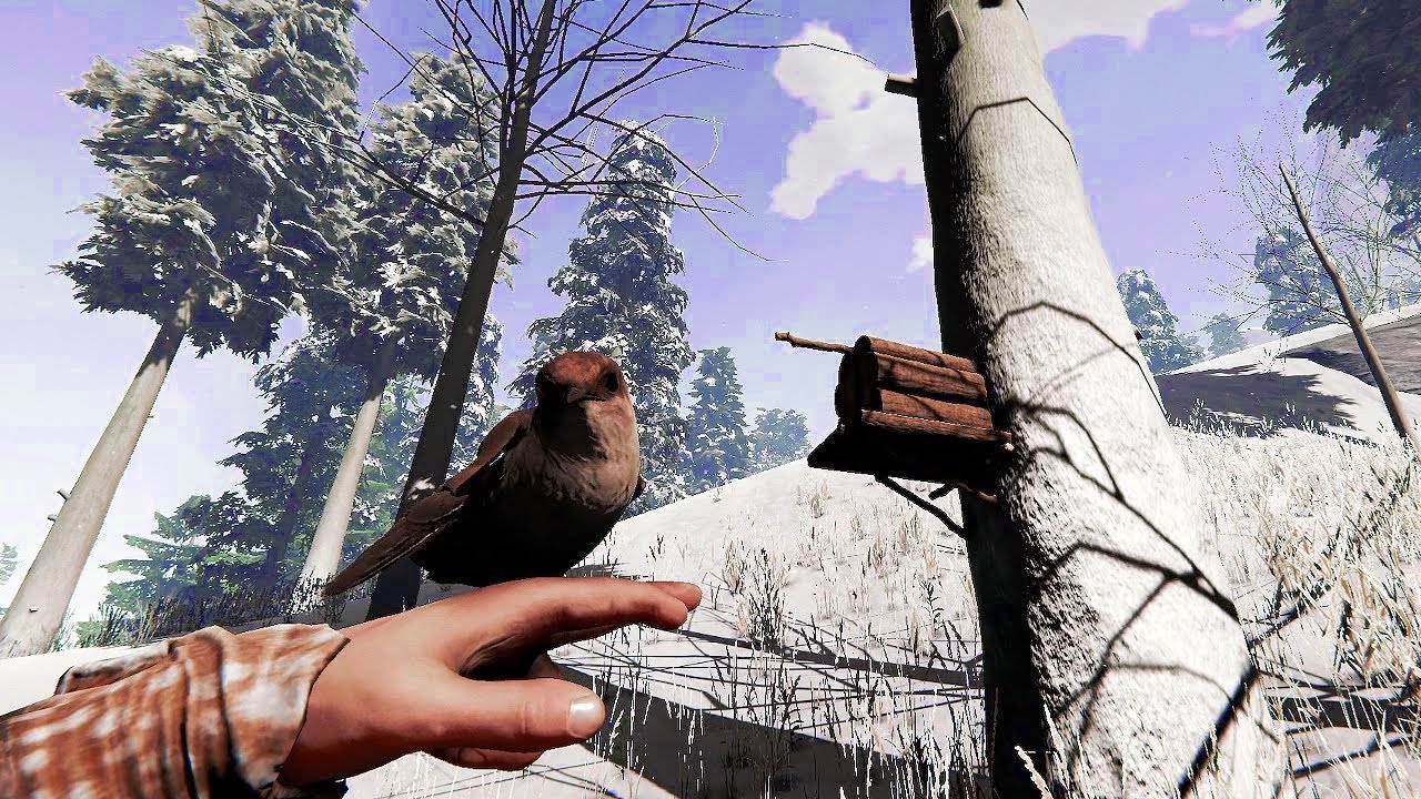 Evolution of THE FOREST 2014 - 2019 - YouTube