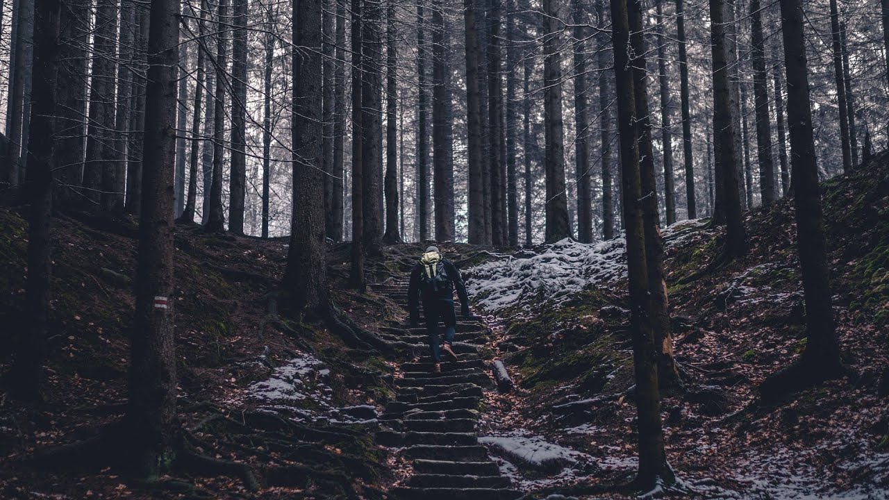 Whitewildbear // Justify - YouTube Music