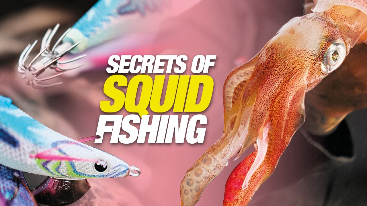 Squid Fishing: How to Catch More Squid? - YouTube