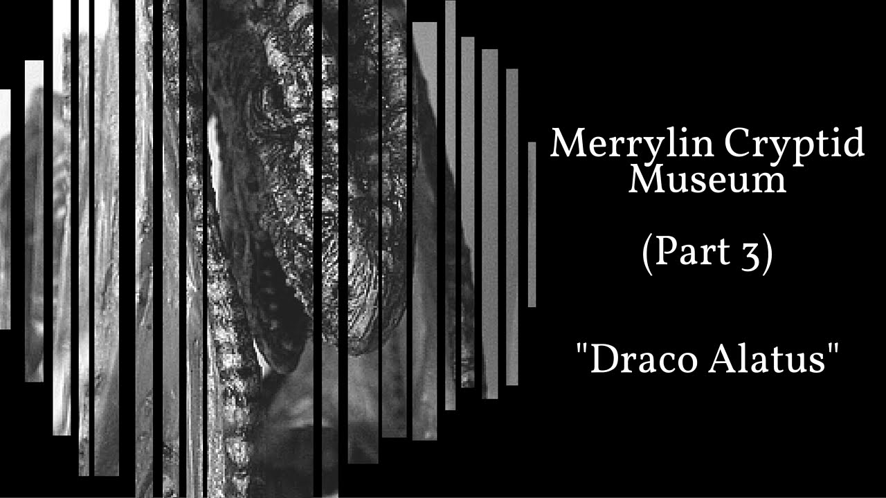 Merrylin Cryptid Museum (Part 3) - Draco Alatus - YouTube