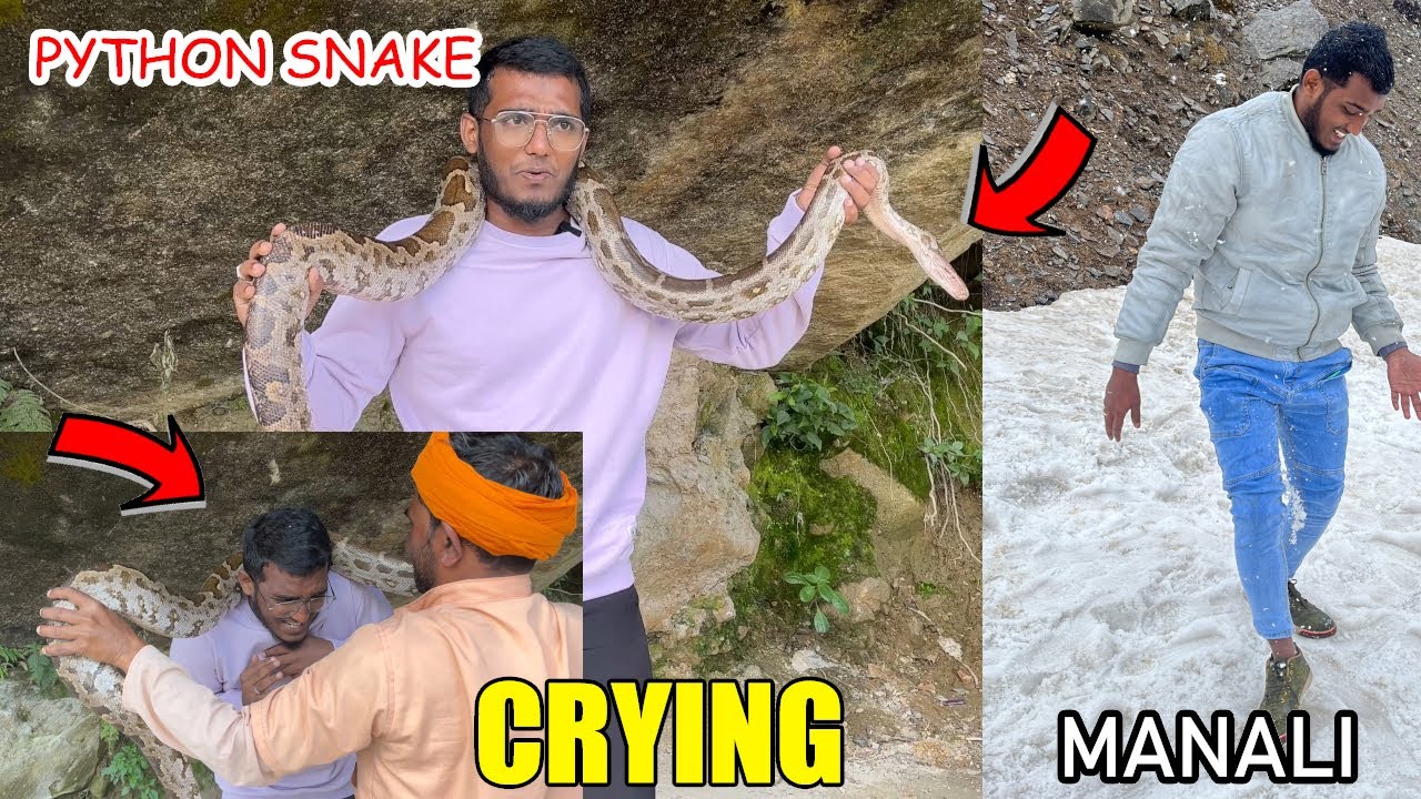 🫣 Huge and Scary Python 🐍 | Manali Adventure | @NazeemVlogger - YouTube
