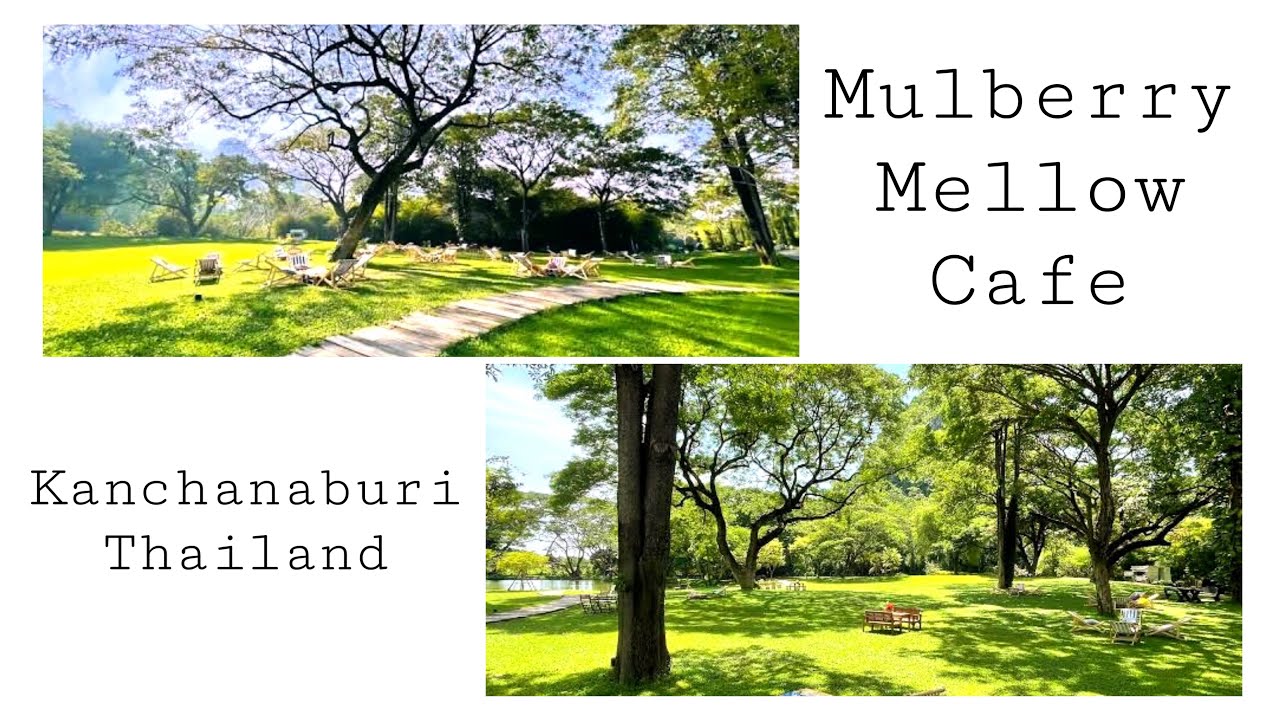 Mulberry Mellow Cafe Kanchanaburi || Kanchanaburi Thailand || Thailand ...