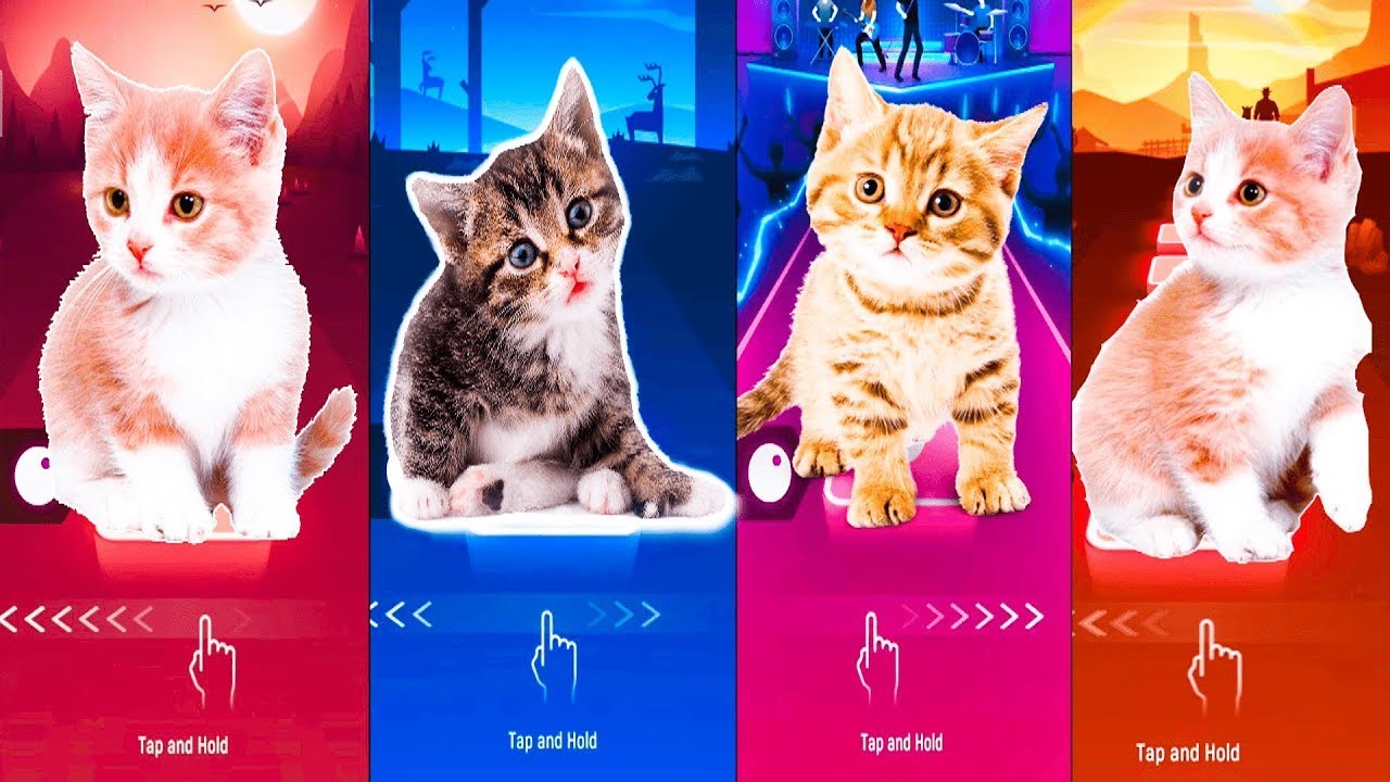 Cute Cats Hayya Hayya Better Together vs FRIENDS vs Aaron Smith vs Lean ...