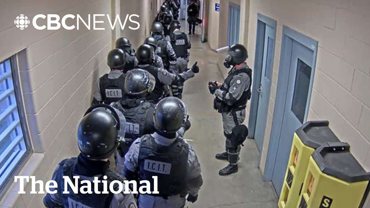 Ontario inmates zip-tied, strip-searched in court video; jail under ...