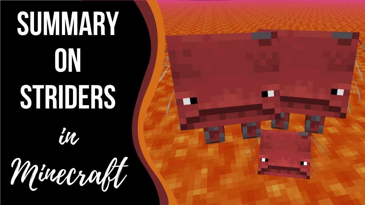 Quick Summary on Striders - One Minute Tips | Minecraft - YouTube