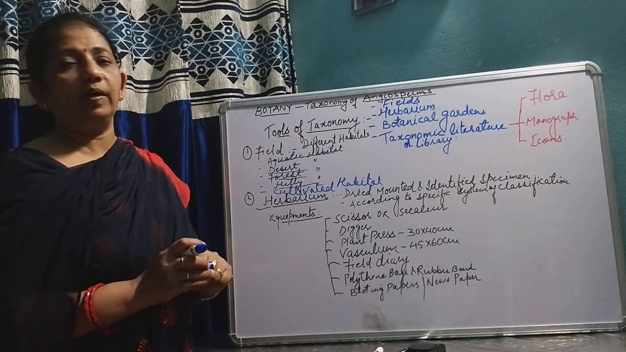 DR SUMAN LATA TRIPATHI 19 06 20 - YouTube