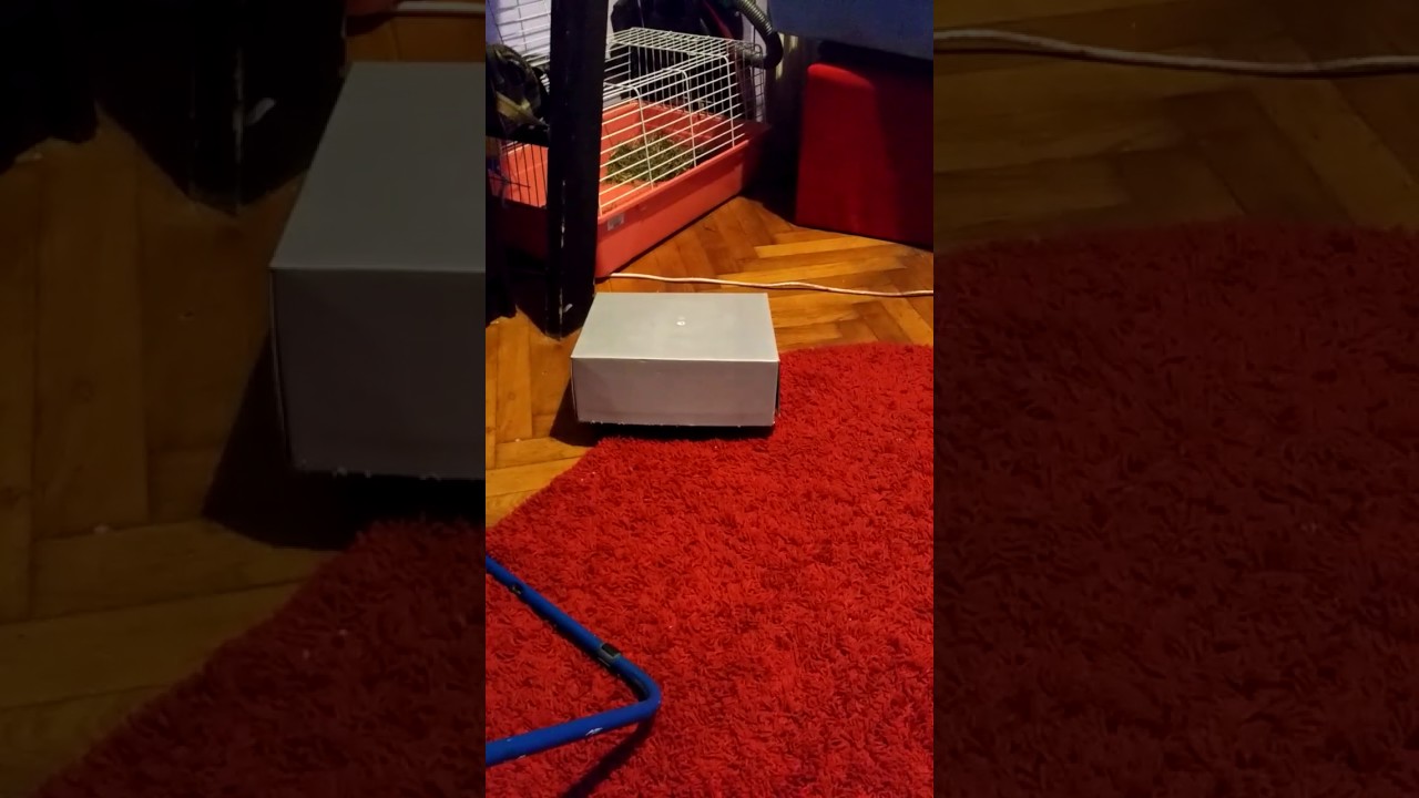 The walking box... 🐰 - YouTube