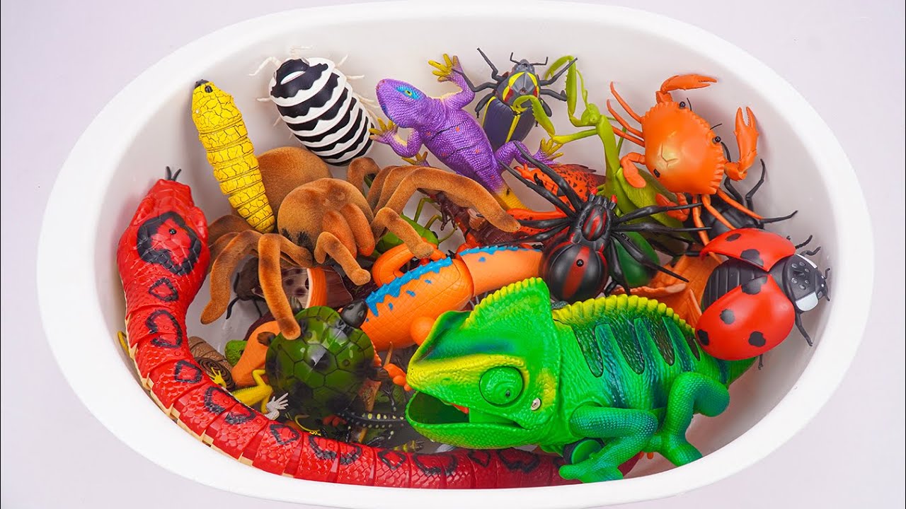 ZURU ROBO ALIVE COLLECTION | UNBOXING Robo Tarantula Spider, Robo ...