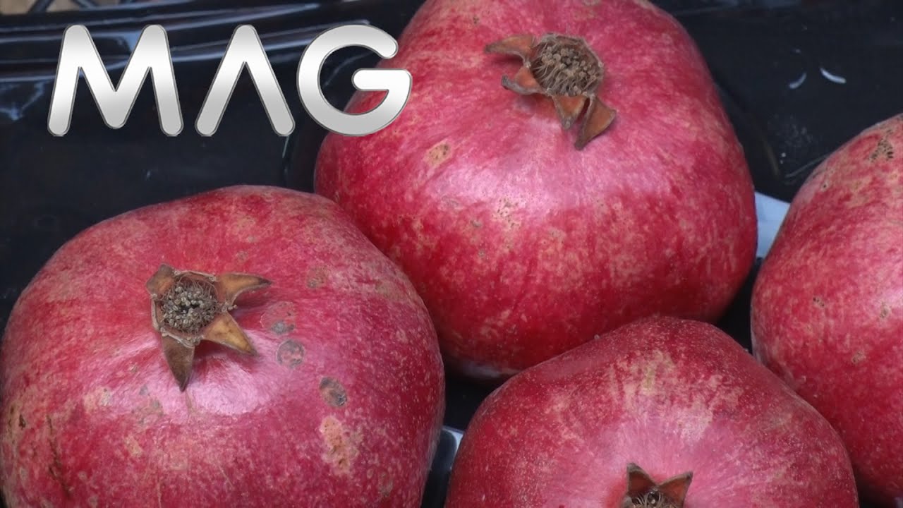 Tropsko voće sprečava prehladu - YouTube