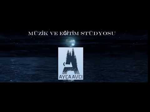 ERDAL TUĞCULAR TÜRKÜNÜN RENGİ \