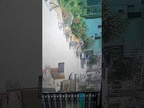 İNANILMAZ KURTULUŞ! !!