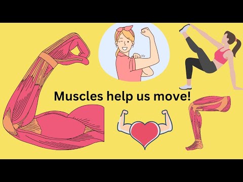 How Do Muscles Help Us Move? | SmartSprouts Learning Hub - YouTube
