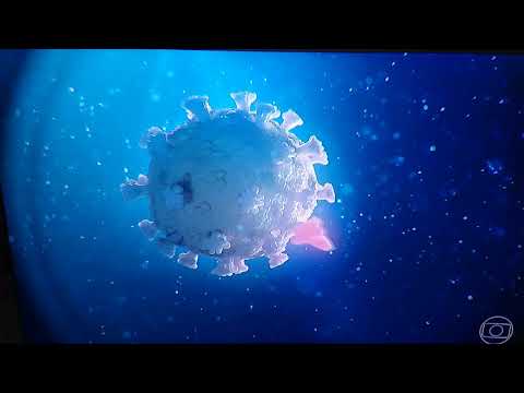 IVERMECTINA inibe a replicação do Coronavírus SARS-CoV-2 in vitro - YouTube