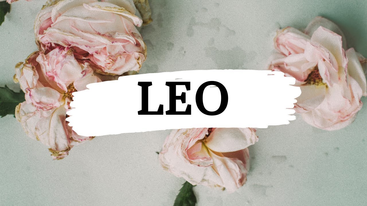 LEO ♌ WOW!! YA ESTÁ AQUÍ TU NUEVO COMIENZO. HORÓSCOPO Y TAROT LEO ...