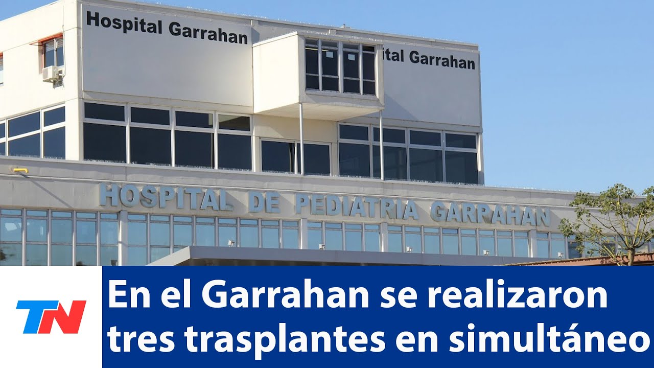 En el Hospital Garrahan realizaron tres trasplantes en simultáneo ...