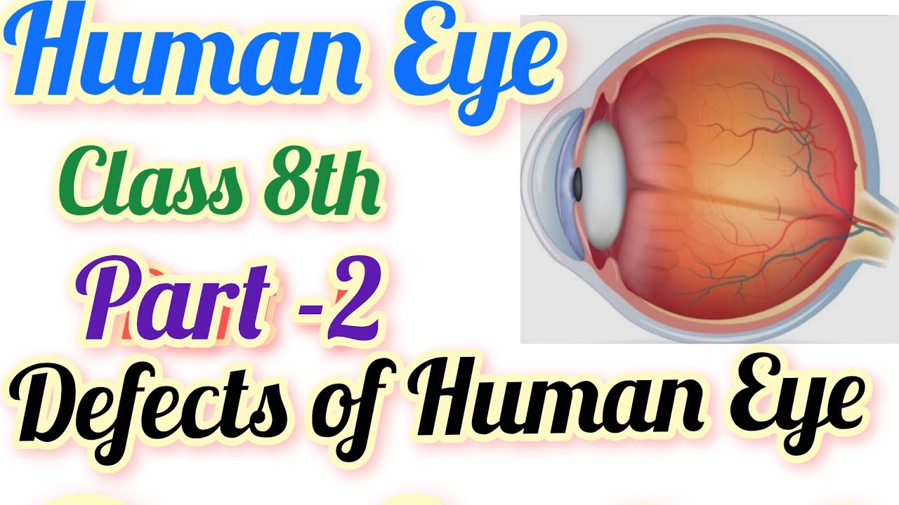 Human Eye (Part II) Defects of Human Eye || Class 8 DAV || Class 8 CBSE ...