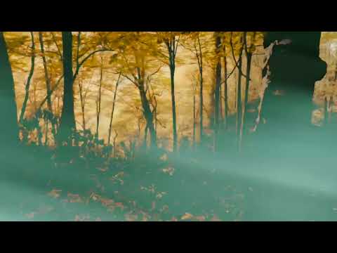 Güzeldere Şelalesi'ni Gördünüz Mü?